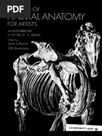 Dog Anatomy | PDF