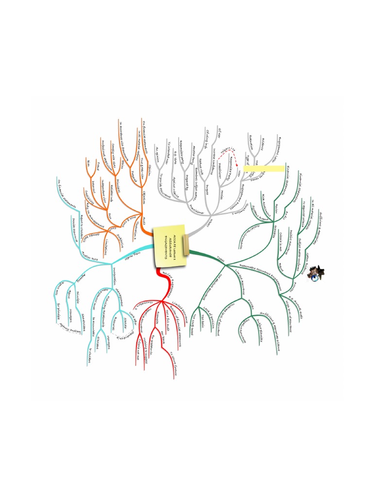 f8 Acca Mind Map PDF | PDF