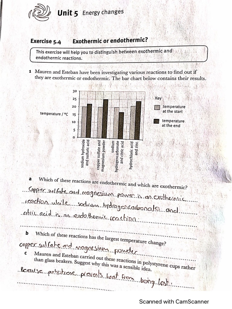 2018 Stage 9 Progression Test | PDF