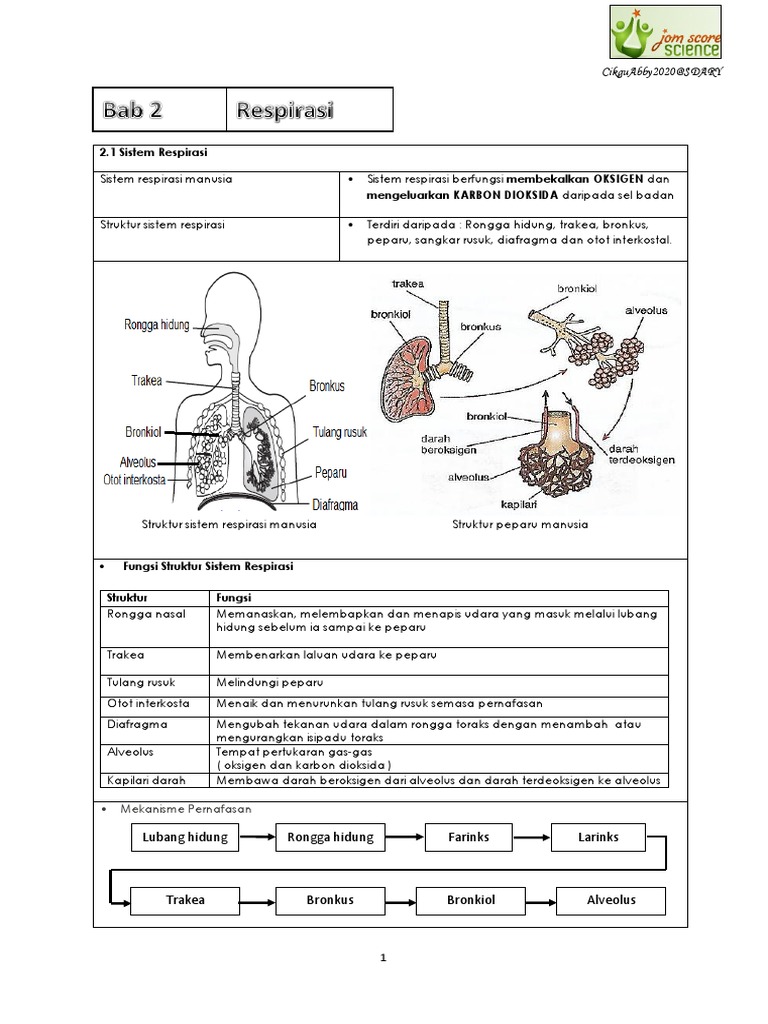 Modul Bab 2 F3 | PDF