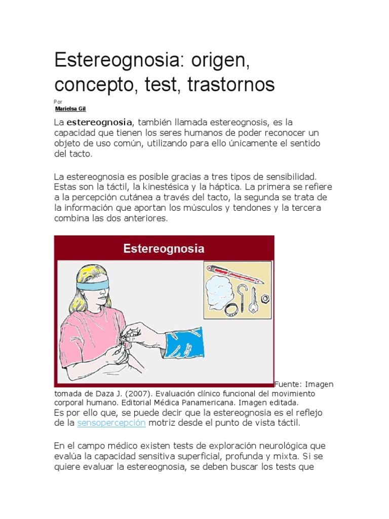 Estereognosia | PDF | Neurología | Cerebro