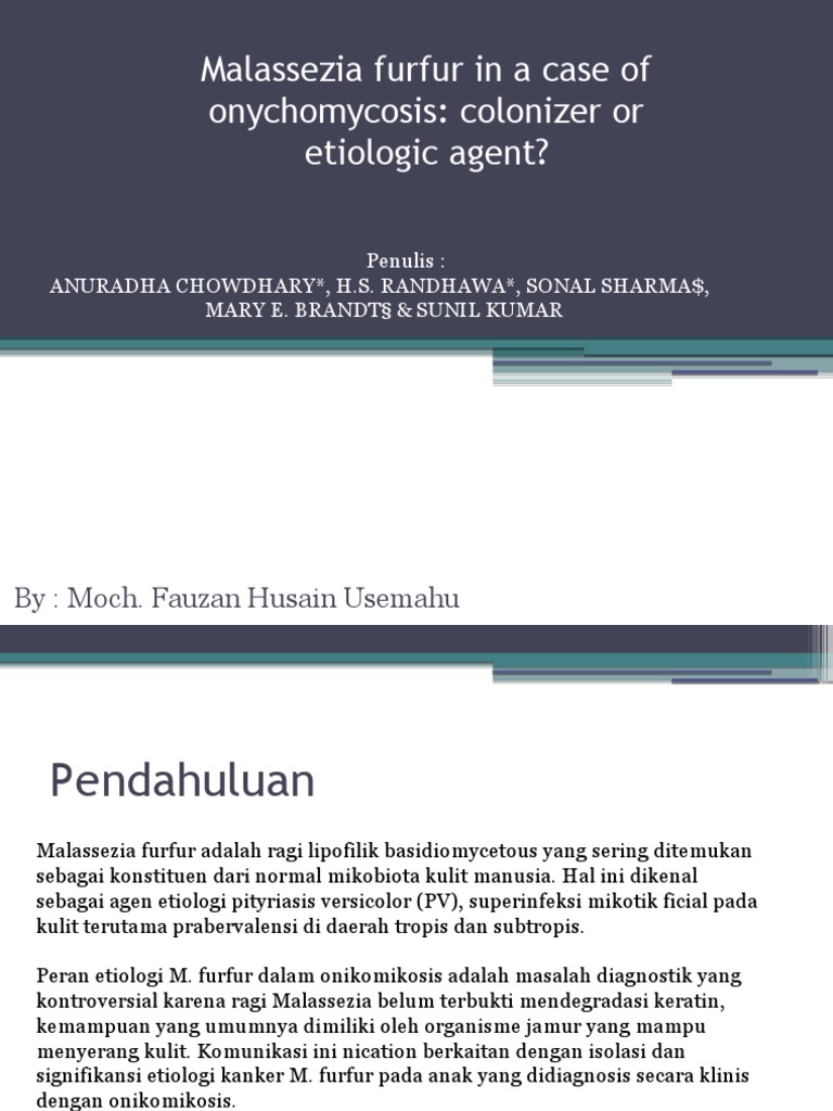 Malassezia furfur: Agen Onikomikosis? | PDF | Sains & Matematika