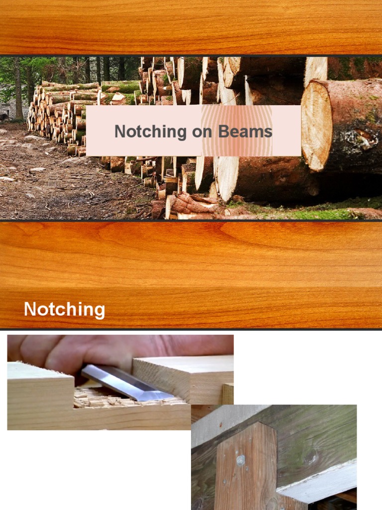Notching On Beams | PDF | Beam (Structure) | Lumber