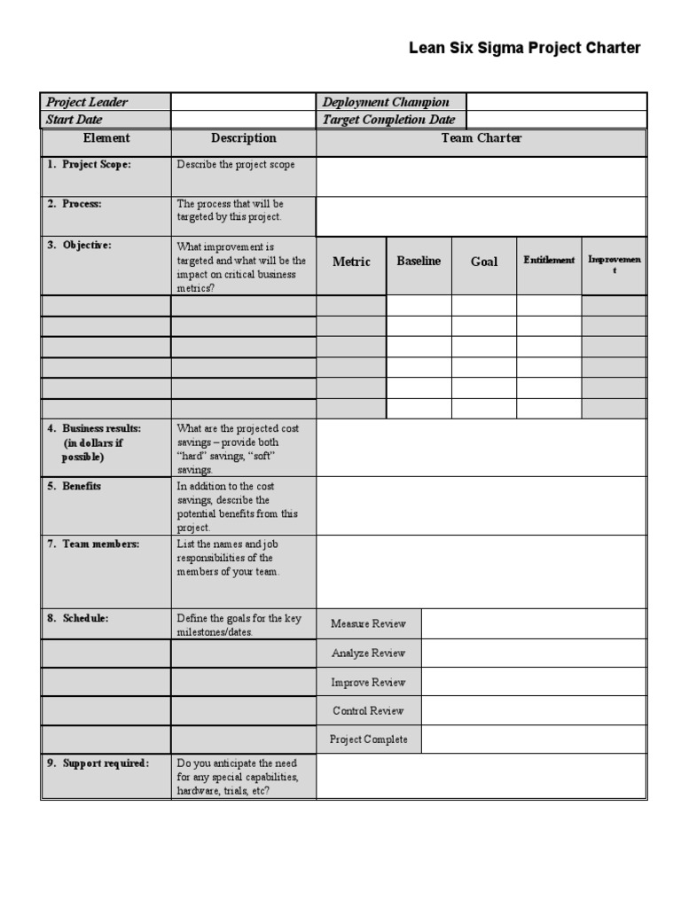 Lean Six Sigma Project Charter | PDF
