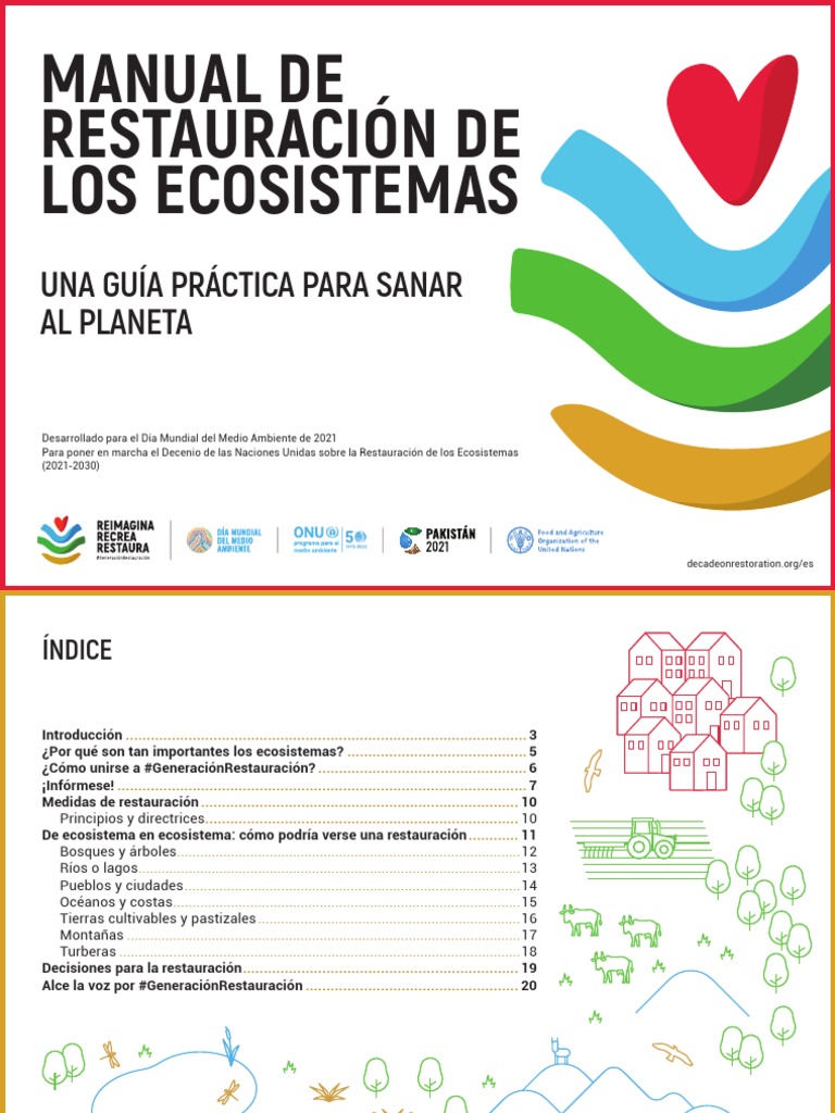 Ecosystem Restoration Playbook Spanishv3 Pdf Los Bosques Arboles