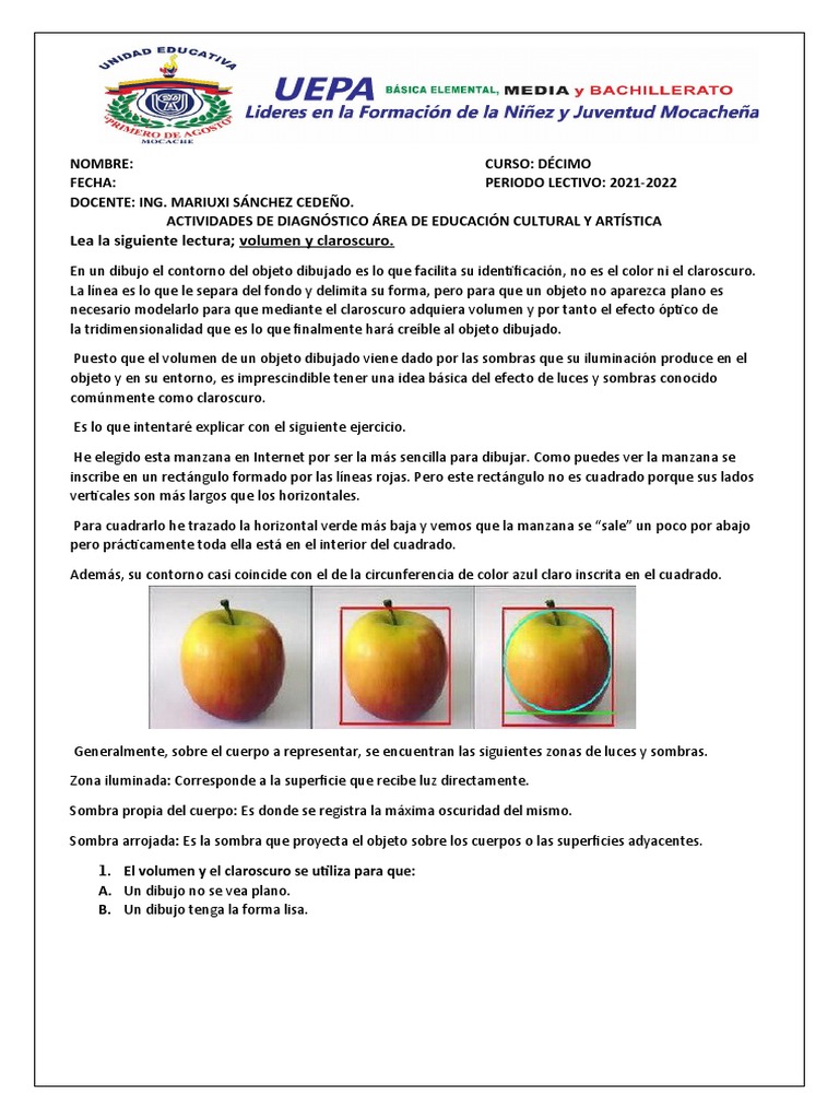 Actividad Diagnóstica 10mo ECA | PDF | Sombra | Dibujo