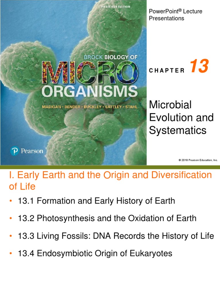 Microbial Evolution and Systematics: Powerpoint Presentations | PDF ...
