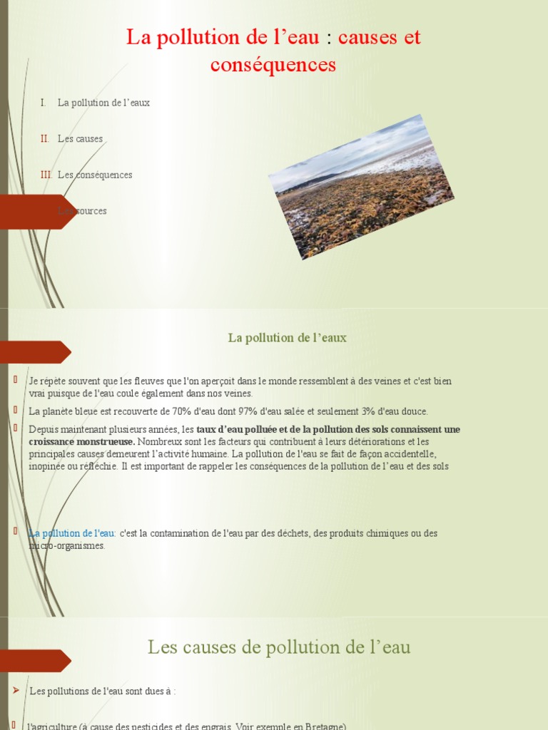 La Pollution de L'eau Causes Et Conséquences | PDF | Pollution de l'eau ...