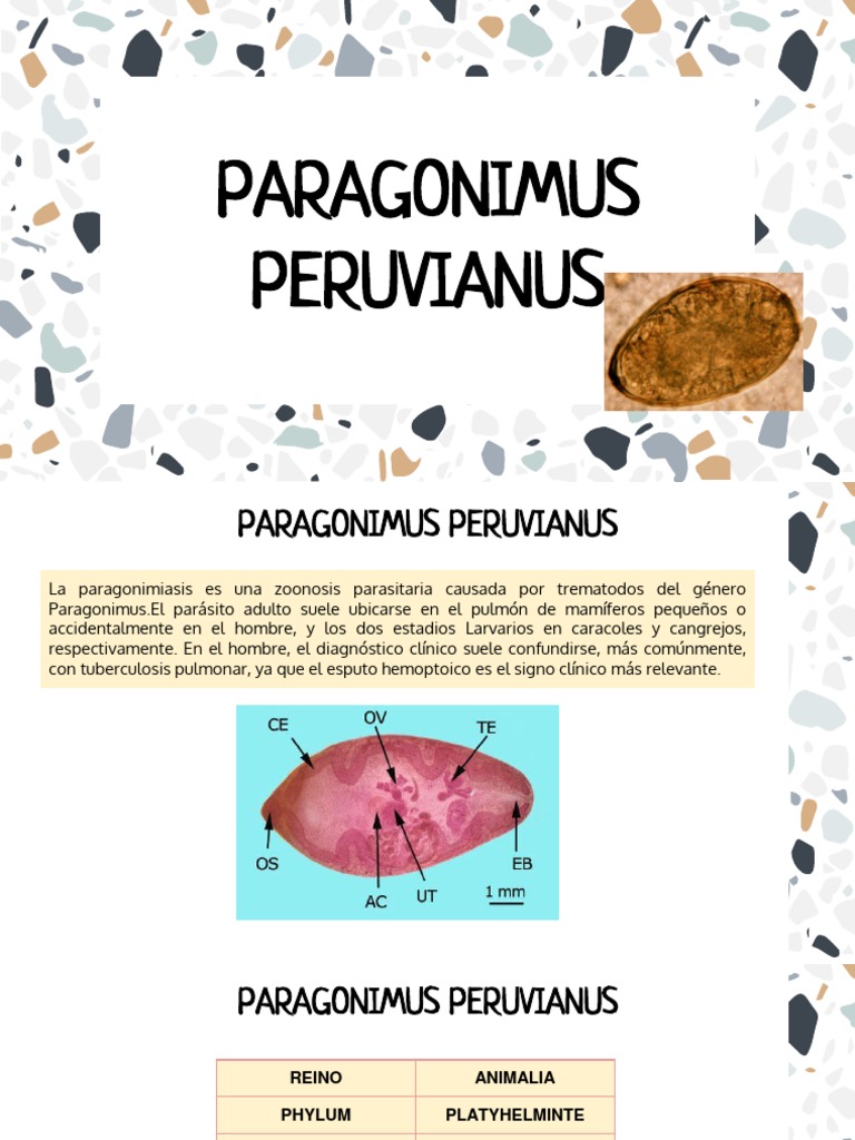 PARAGONIMUS | PDF | Epidemiología | Especialidades Medicas