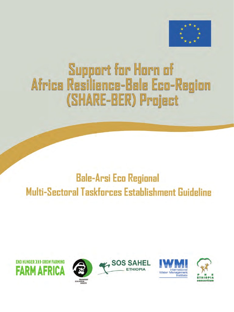 Bale-Arsi Eco Regional Taskforces Establishment Guideline | PDF ...