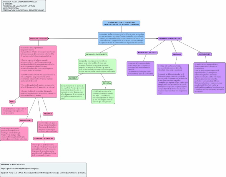 Desarrollo Fisico, Cognitivo y Psicosocial de La Adultez Temprana 1 | PDF