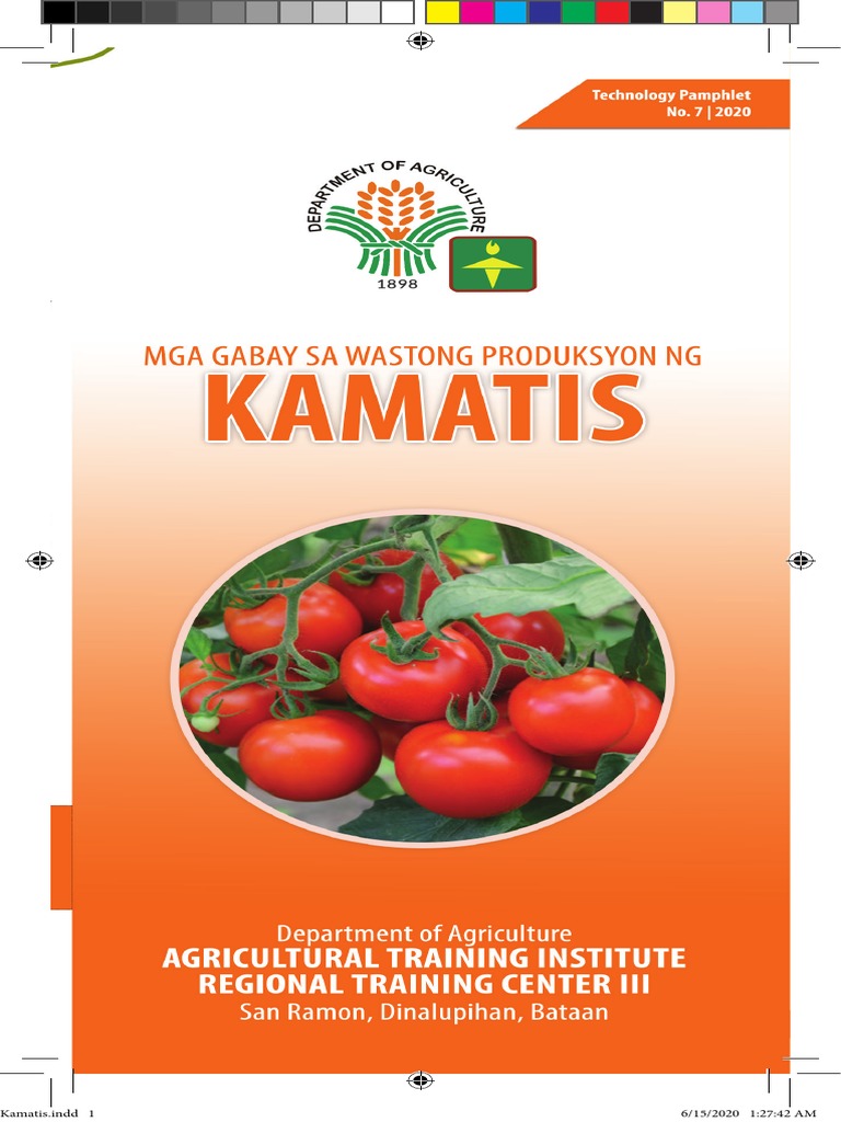 Kamatis | PDF