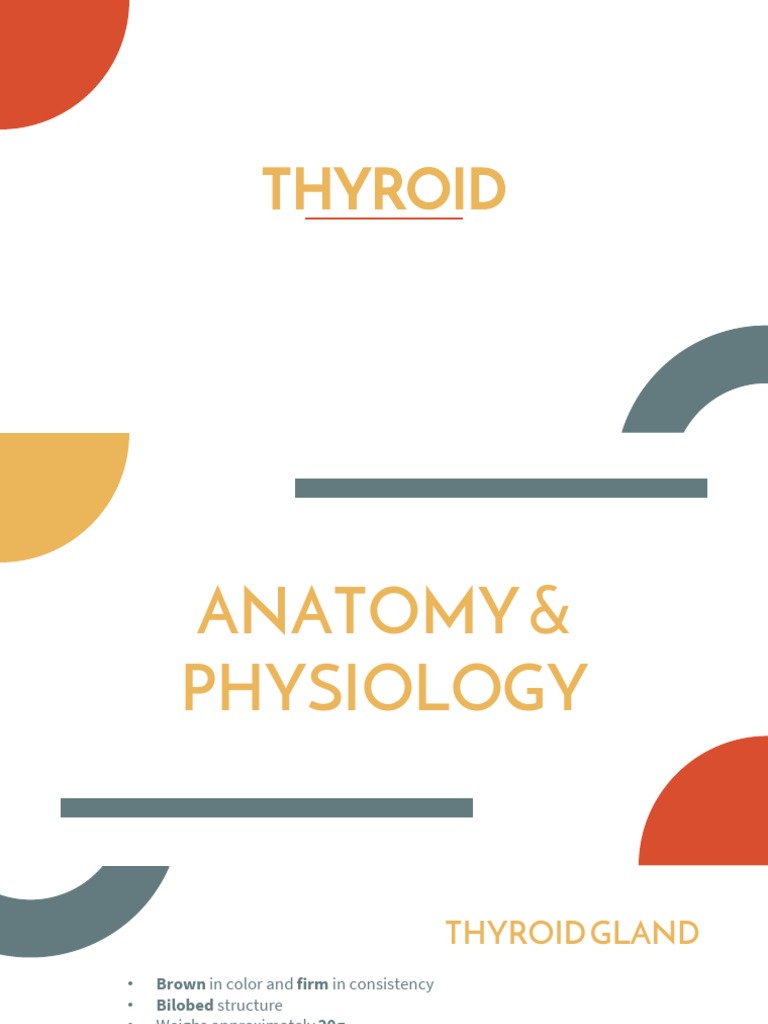 Thyroid Report | PDF | Thyroid | Hyperthyroidism