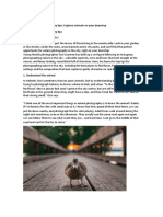 StudioBinder Ultimate Shot List Template | PDF | Camera | Photography ...