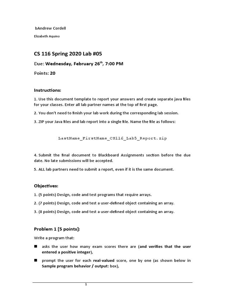 Cordell Andrew CS116 Lab5 Report | PDF | Integer (Computer Science) | Data Type