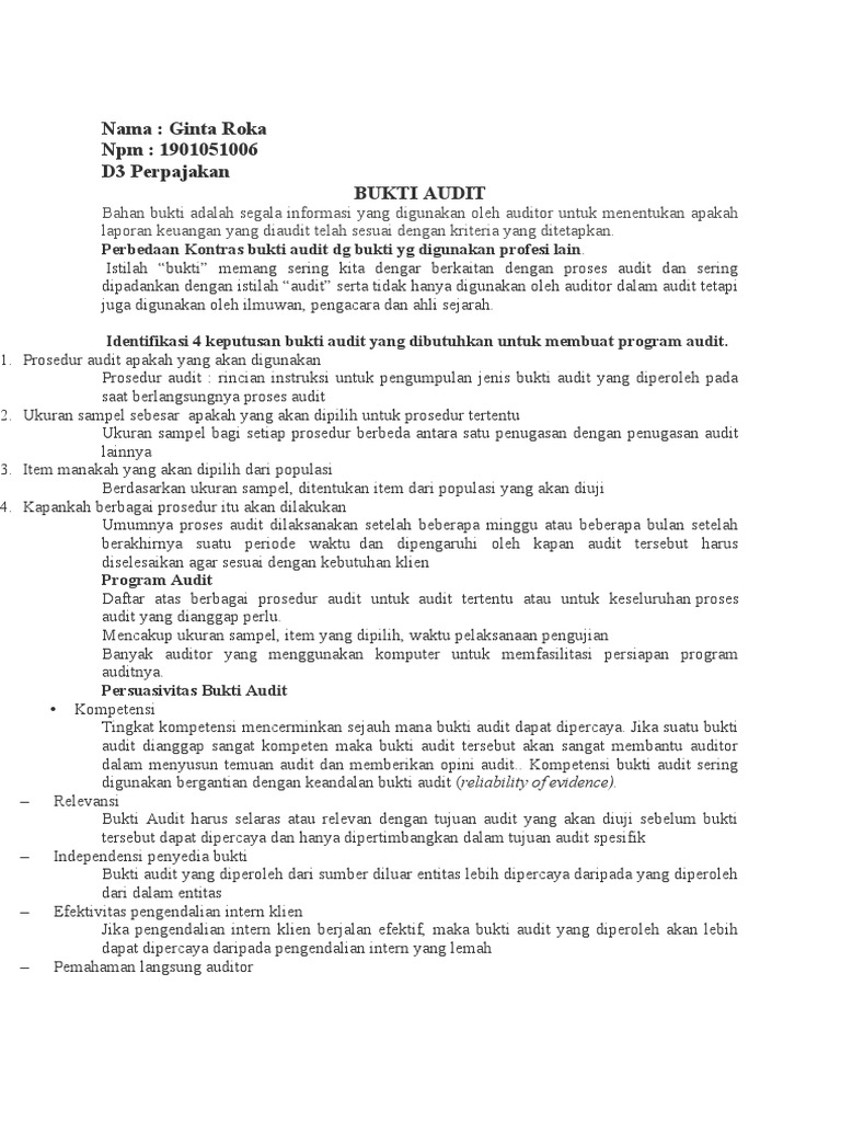 Ginta Roka 1901051006 Resume Bukti Audit | PDF