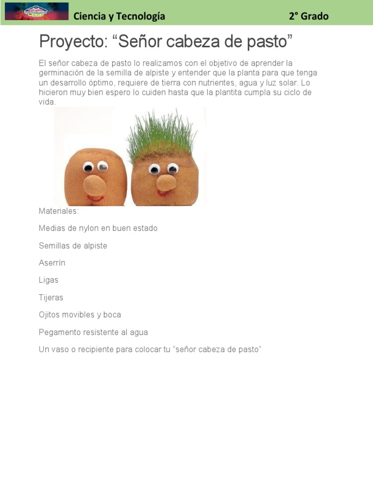 Proyecto-Señor Cabeza de Pasto | PDF