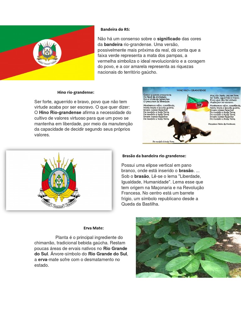 Símbolos Do RS | PDF | Bandeira | América do Sul