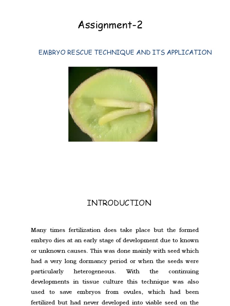 Assignment-2: Embryo Rescue Technique and Its Application | PDF ...