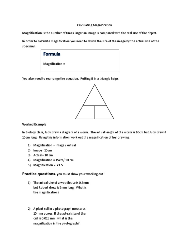 Calculating Magnification Worksheet | PDF