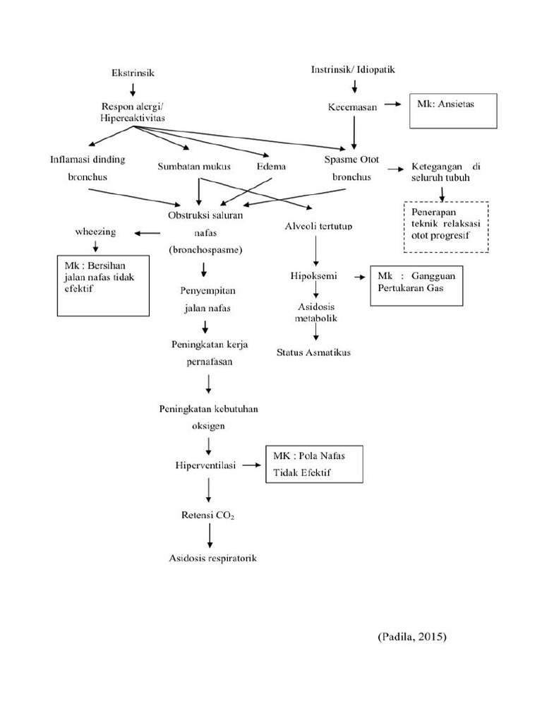 Woc Asma Bronkial Pdf