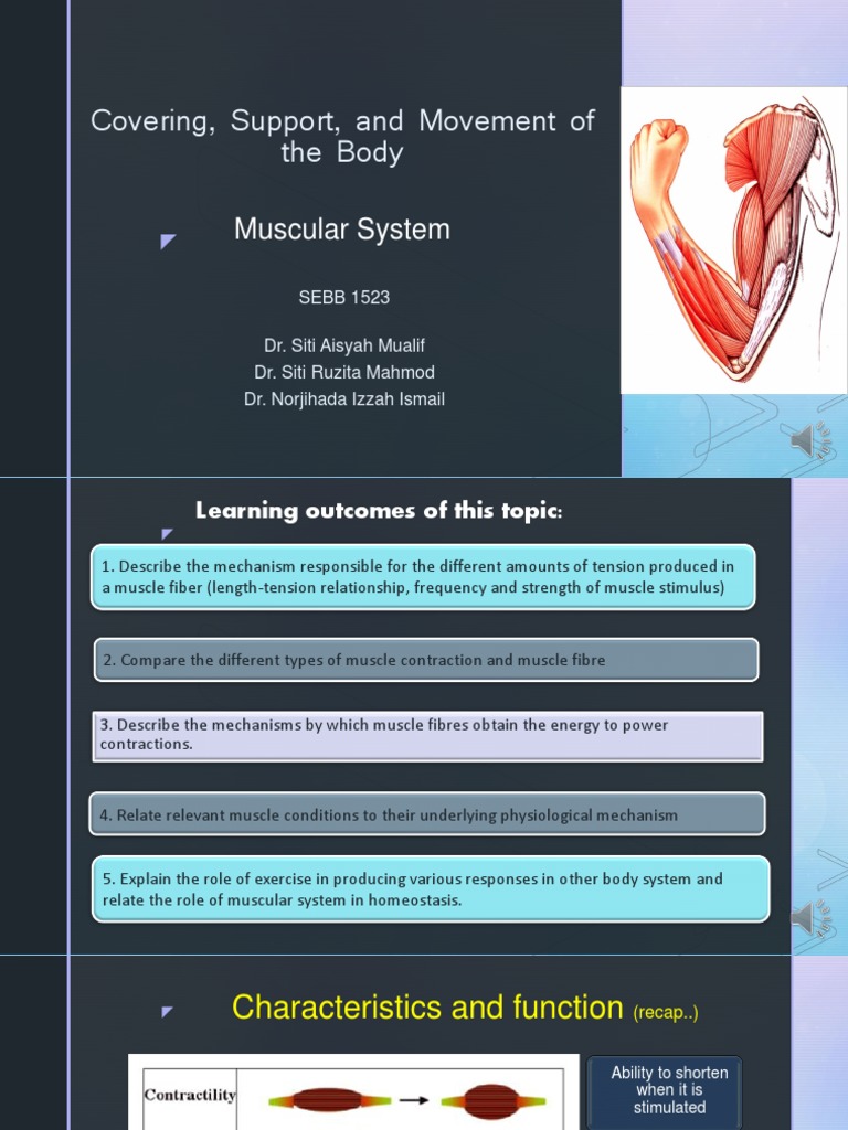 Muscular System Notes | PDF | Muscle Contraction | Skeletal Muscle