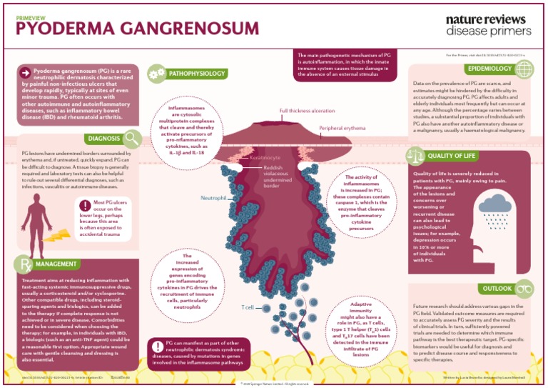Pyoderma Gangrenosum: Pathophysiology Epidemiology | PDF | Inflammatory ...