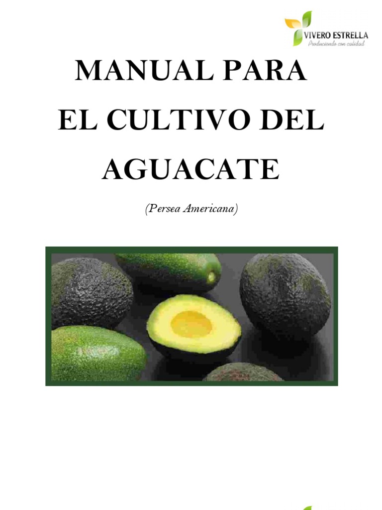 Manual para El Establecimiento de Una Huerta de Aguacate | PDF | Aguacate | Fertilizante