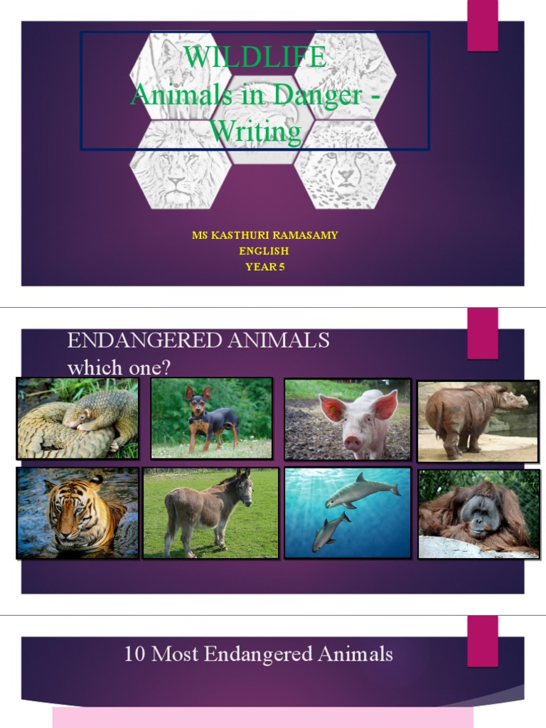 Writing - Endangered Animals. | PDF