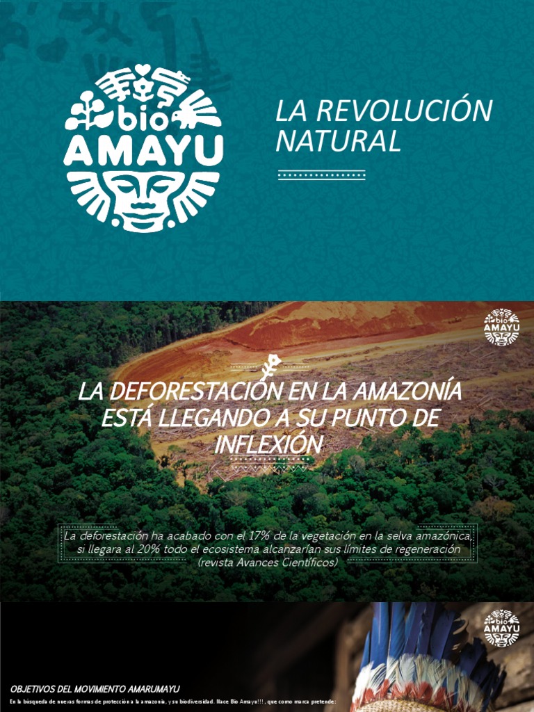 Presentacion Bio Amayu - Lanzamiento Equipo Comercial Medellin | PDF ...