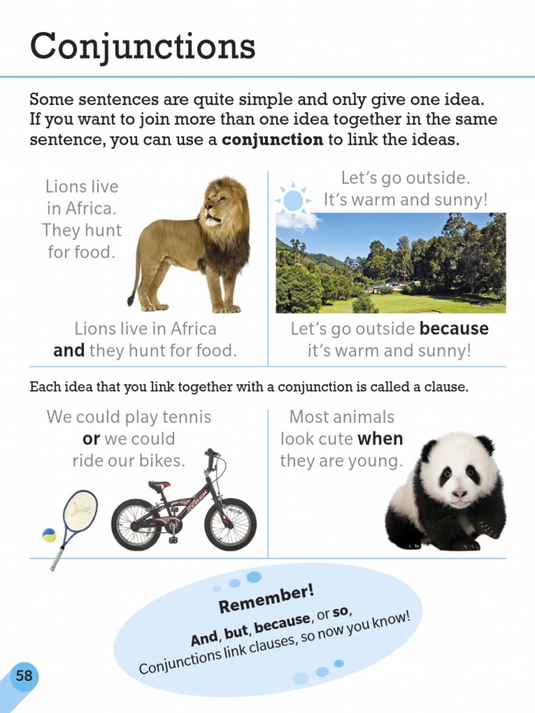 Visual Punctuation Conjunctions | PDF | Preposition And Postposition | Noun