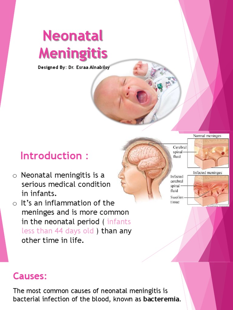 Neonatal Meningitis: Designed By: Dr. Esraa Alnabilsy | PDF ...