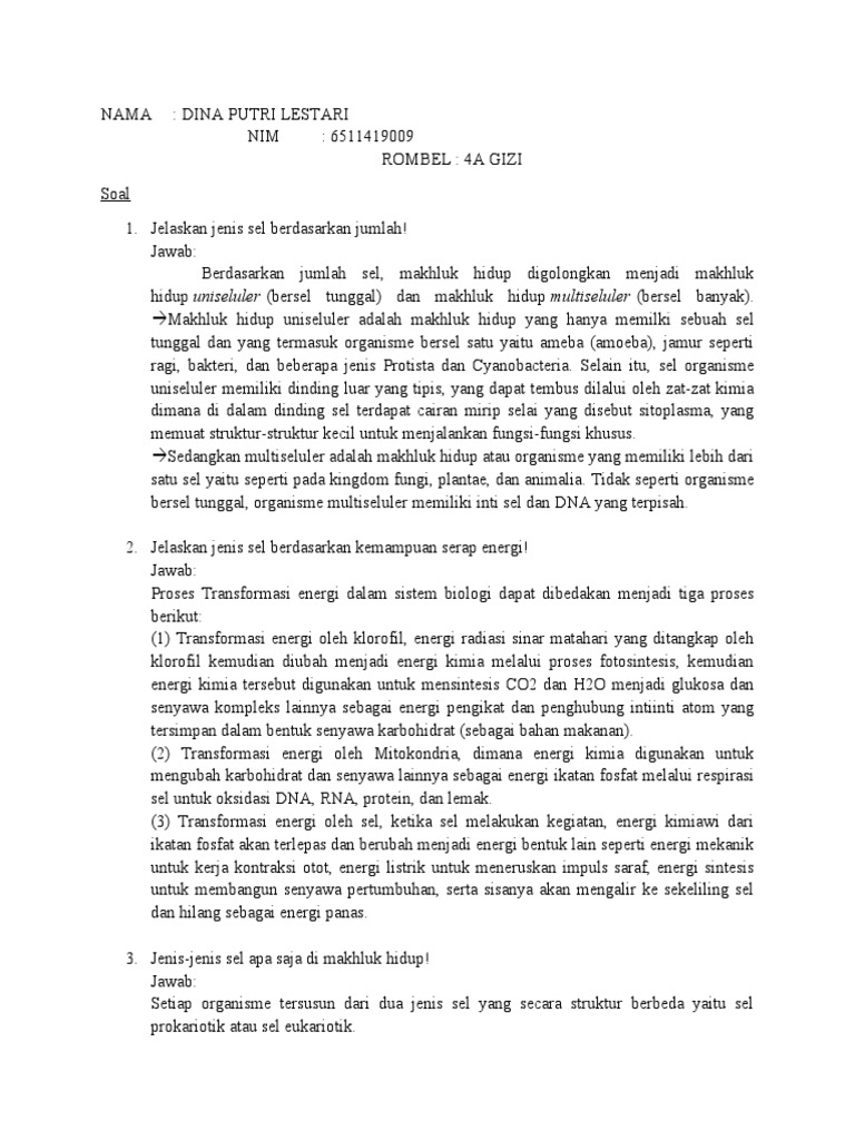 Dina Putri Lestari | PDF