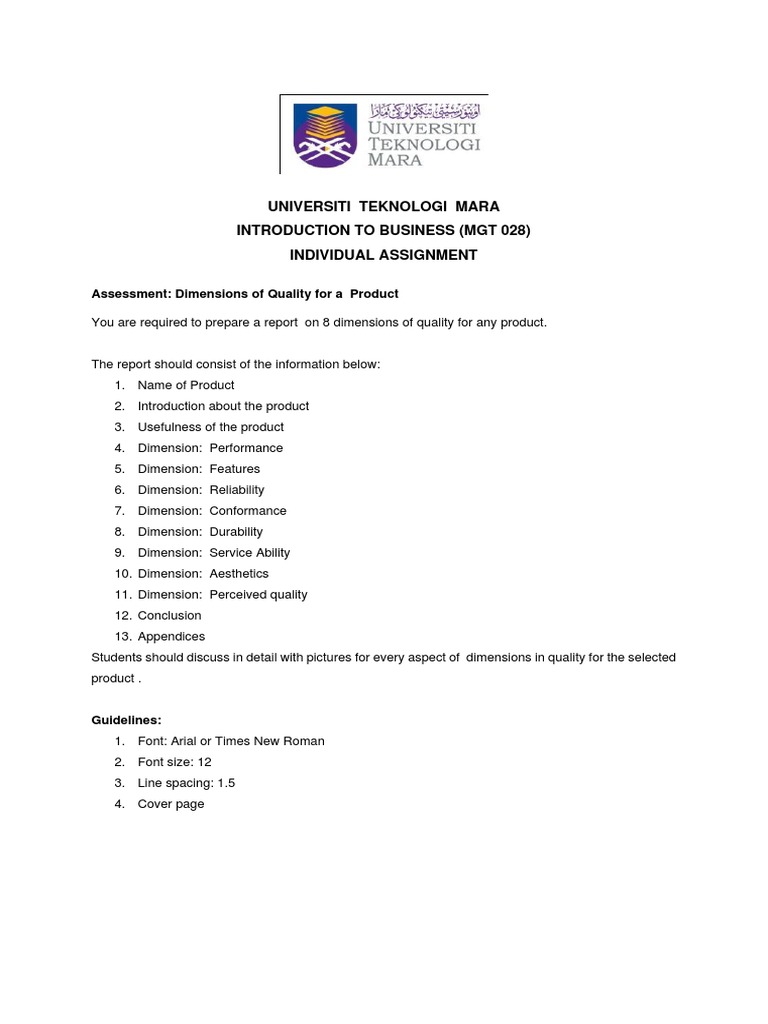MGT 028 Individual Assignment Report | PDF