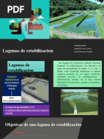 MSDS Zetanil | PDF | Agua | Ecología