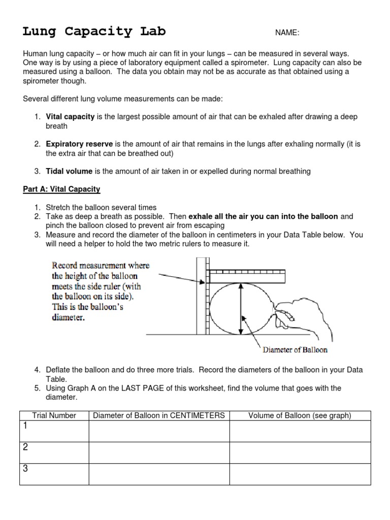 Lung Capacity Worksheet | PDF | Exhalation | Lung