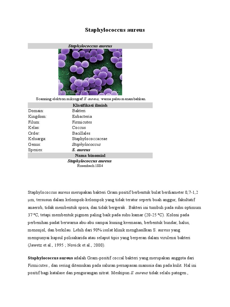 Staphylococcus Aureus | PDF