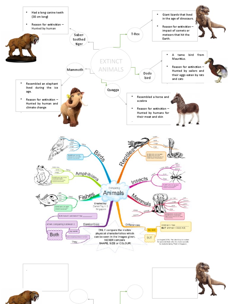 Science - Animal Extinction | PDF