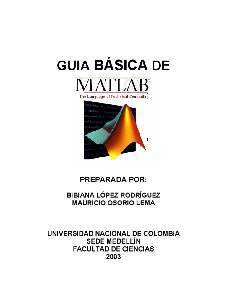 Manual de Matlab | PDF | C ++ | Matriz (Matemáticas)