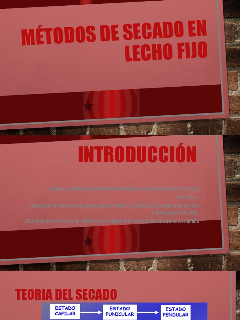 Métodos de Secado en Lecho Fijo 1 | PDF | Convección | Calor