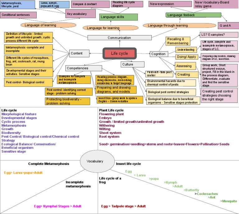 Life Cycle Concept Map | PDF | Insects | Pest (Organism)