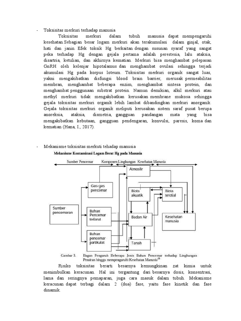 Mekanisme Toksisitas Merkuri pada Manusia | PDF | Sains & Matematika
