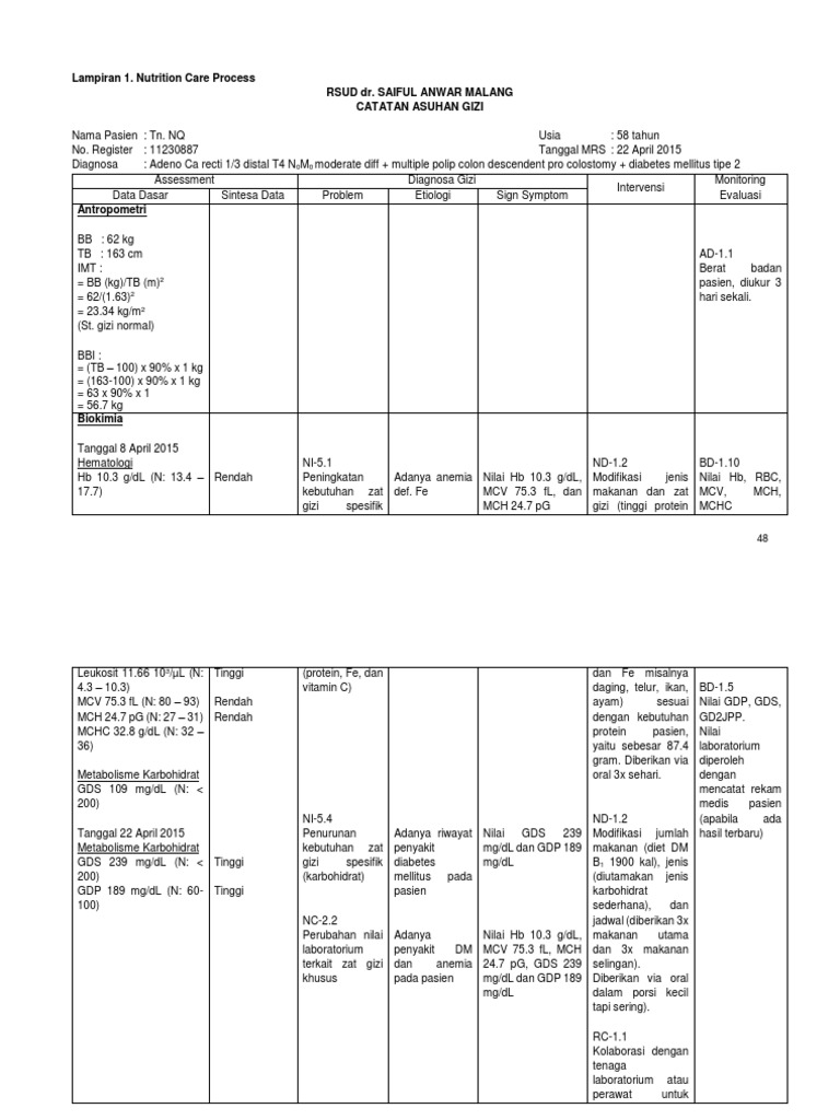 Contoh Lampiran Form NCP Monev Menu Leaflet | PDF