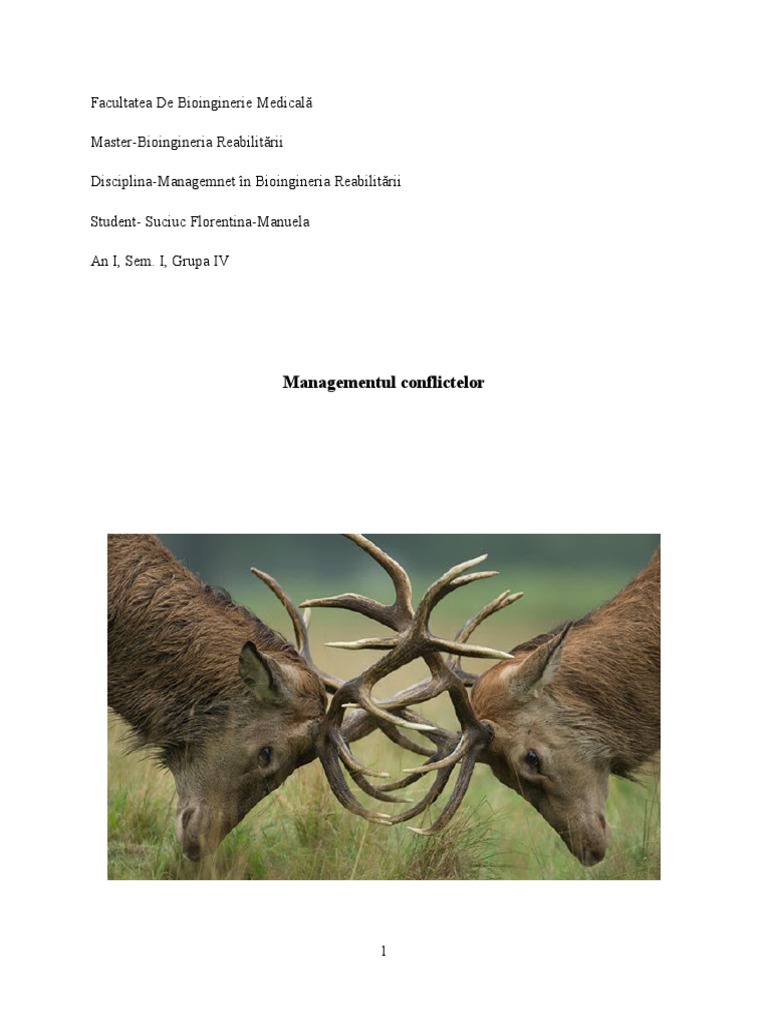 Proiect Management | PDF