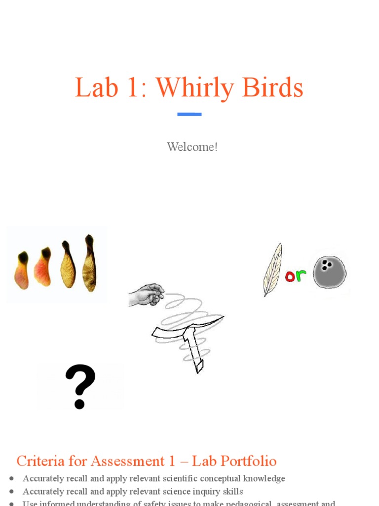 Whirly Birds Lab 2020 | PDF | Chart | Pedagogy