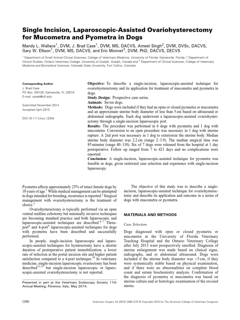 Single Incision, Laparoscopic-Assisted Ovariohysterectomy For Mucometra ...