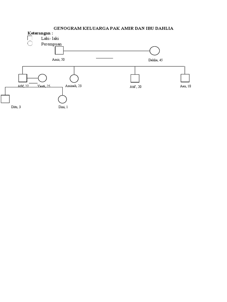 Contoh Genogram Keluarga | PDF