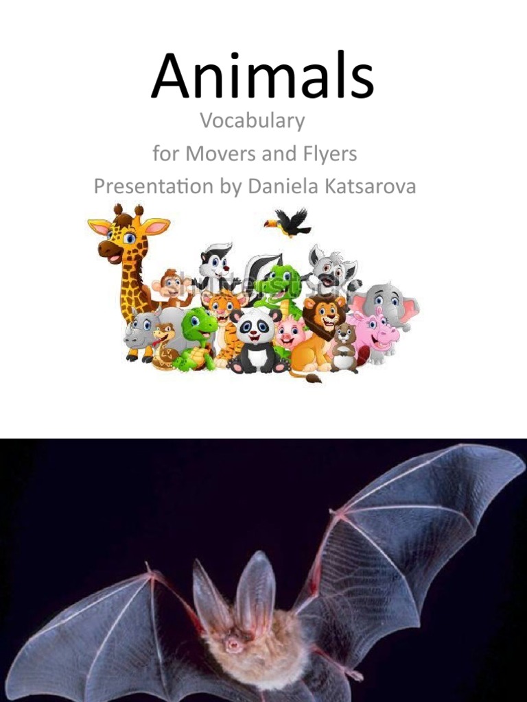 Animals: Vocabulary For Movers and Flyers Presentation by Daniela ...