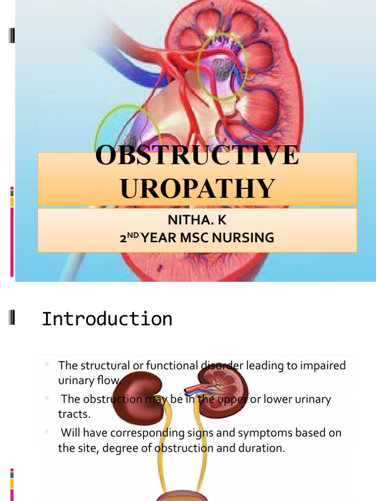 Obstructive Uropathy: Nitha. K 2 Year MSC Nursing | PDF | Organ ...