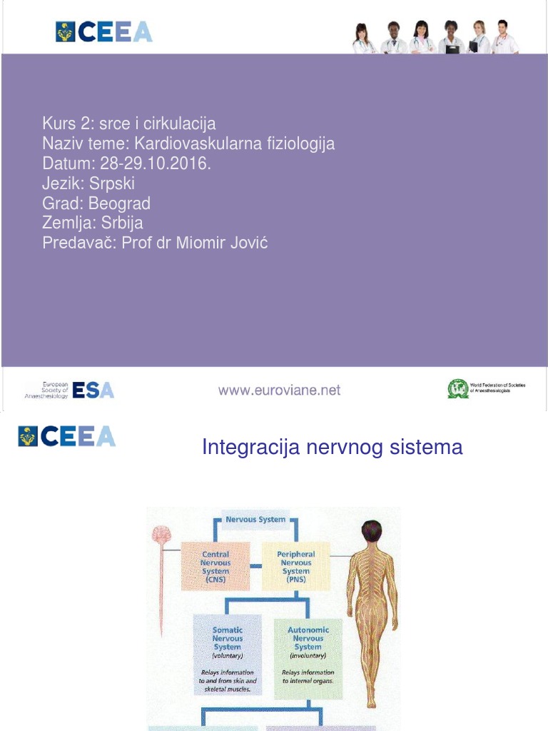 Kardiovaskularna Fiziologija Prof. DR Miomir Jović CEEA 2 | PDF